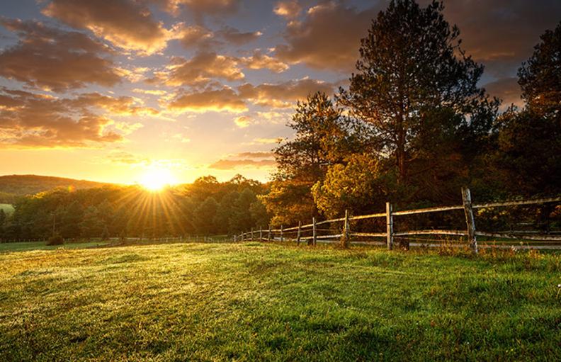 Nine Tips for Buying Rural Property | AgCarolina Farm Credit