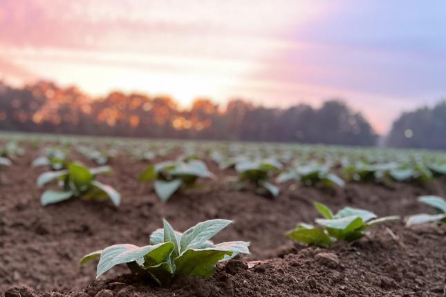 Careers | AgCarolina Farm Credit