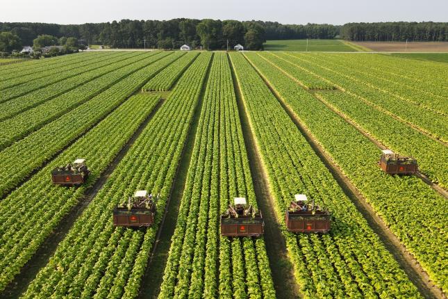 AgCarolina Farm Credit | Loans for Farms & Rural Homes